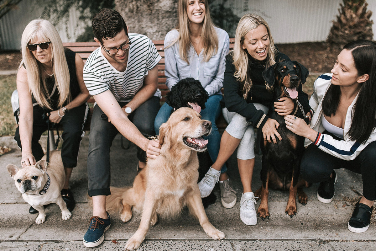 How To Ace Responsible Dog Ownership | Get WAG