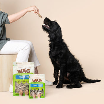 Bestselling Dog Treats | WAG