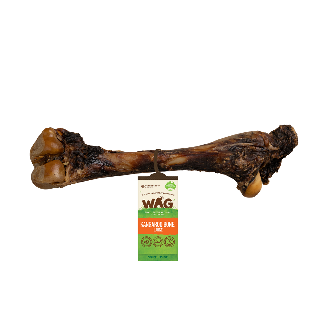 Buy Kangaroo Bones For Dogs Online In Australia | WAG