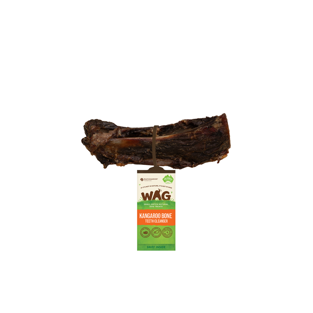 Buy Kangaroo Bones For Dogs Online In Australia | WAG