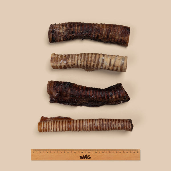 Moo Tubes – Dog Treats | WAG